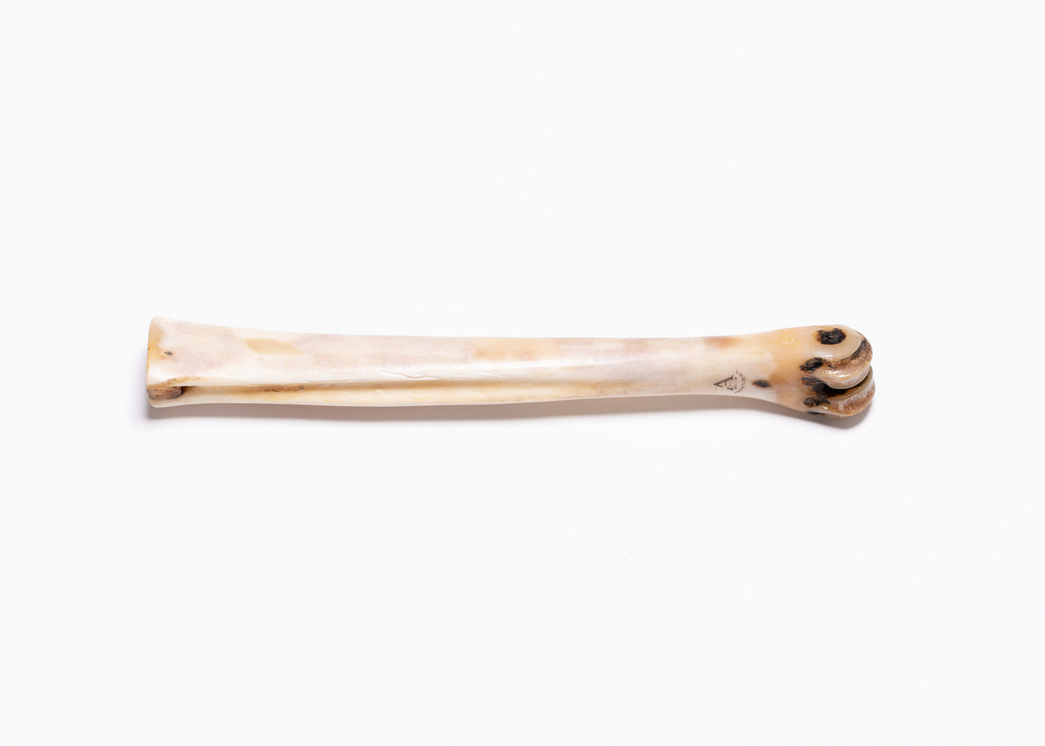 Deer Polishing Bone